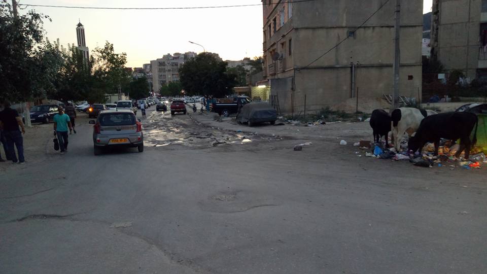 Travaux inachevés à Oued Forcha : Le ras-le-bol des résidents - Le ...
